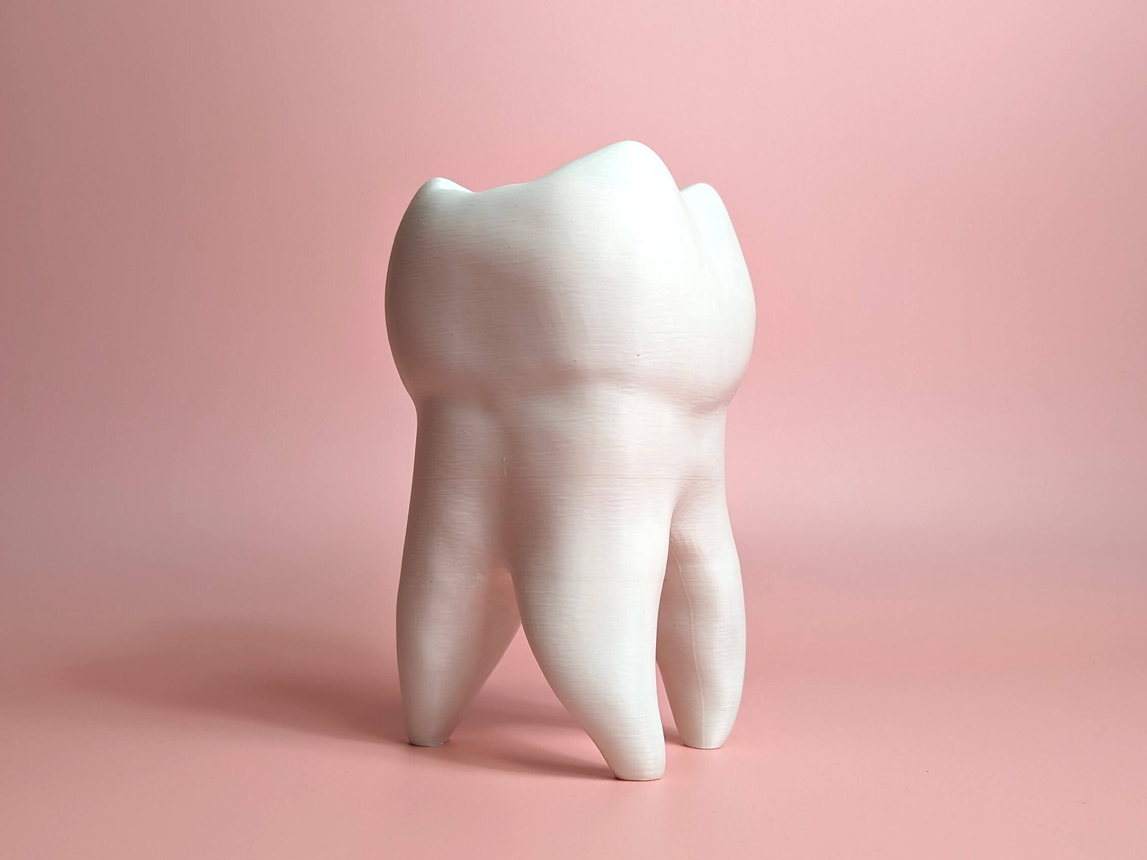 Vase décoratif pour dents | Cadeau pour étudiant en médecine, vase à ...