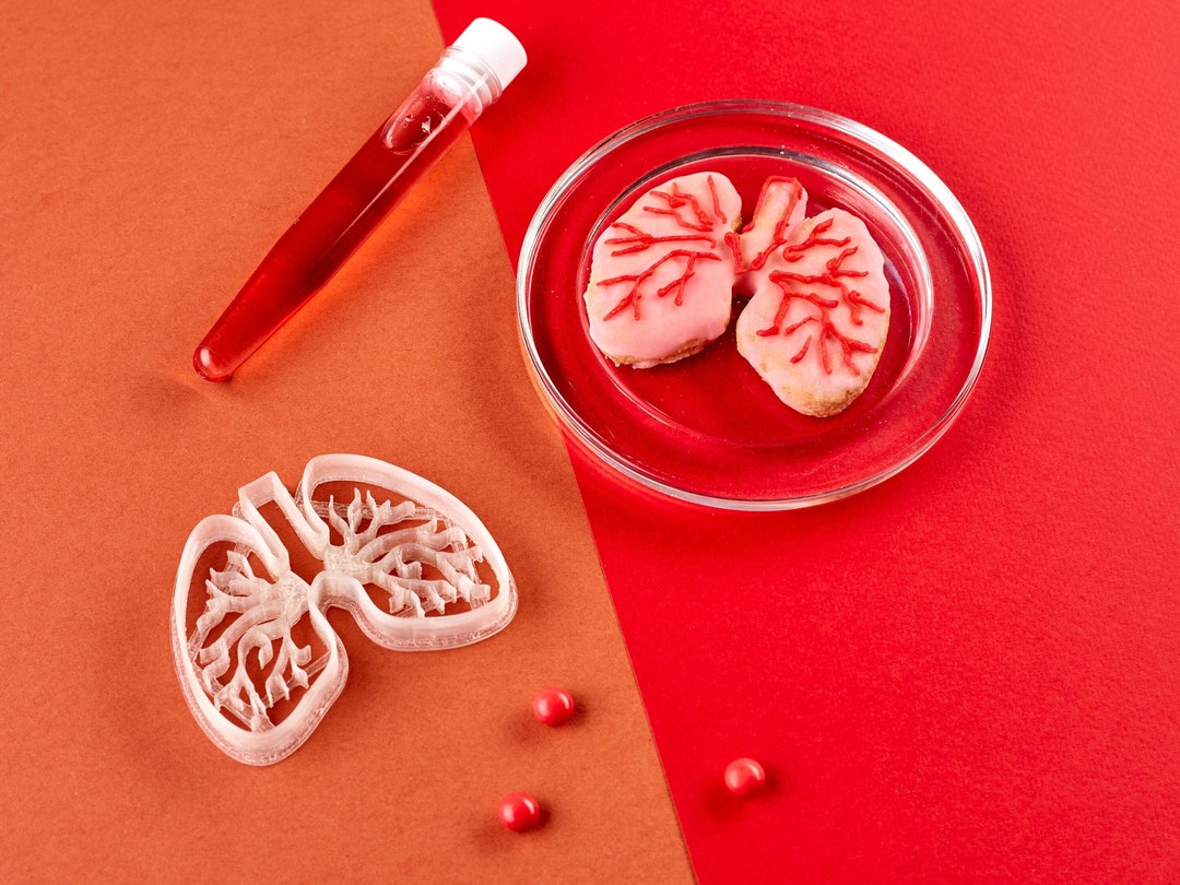 Lung Cookie Cutter | Anatomy Cookie Cutter | Gift Medical Student ...