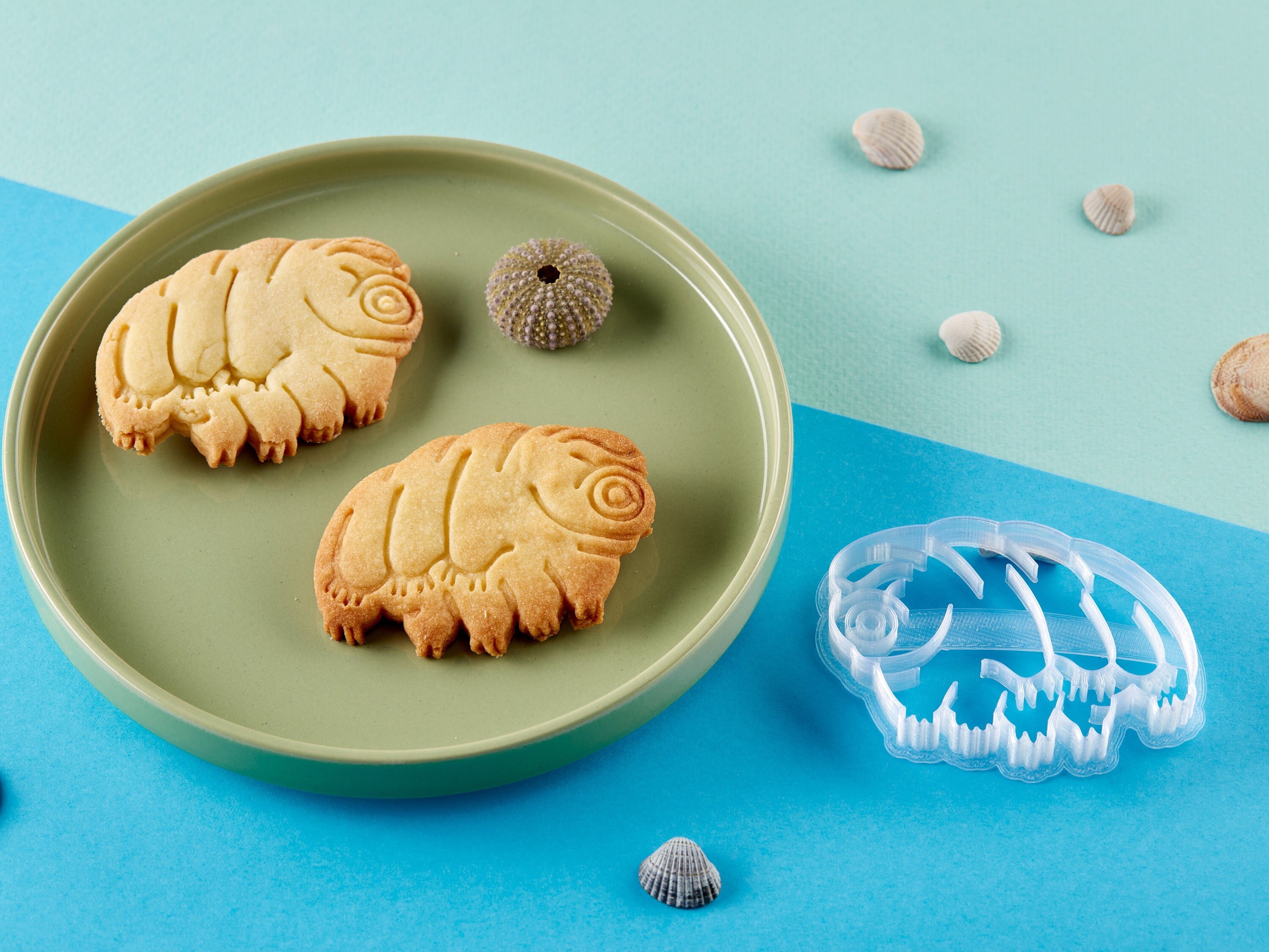 Tardigrade Cookie Cutter Marine Biology Cookie Cutter Gift Biologist ...