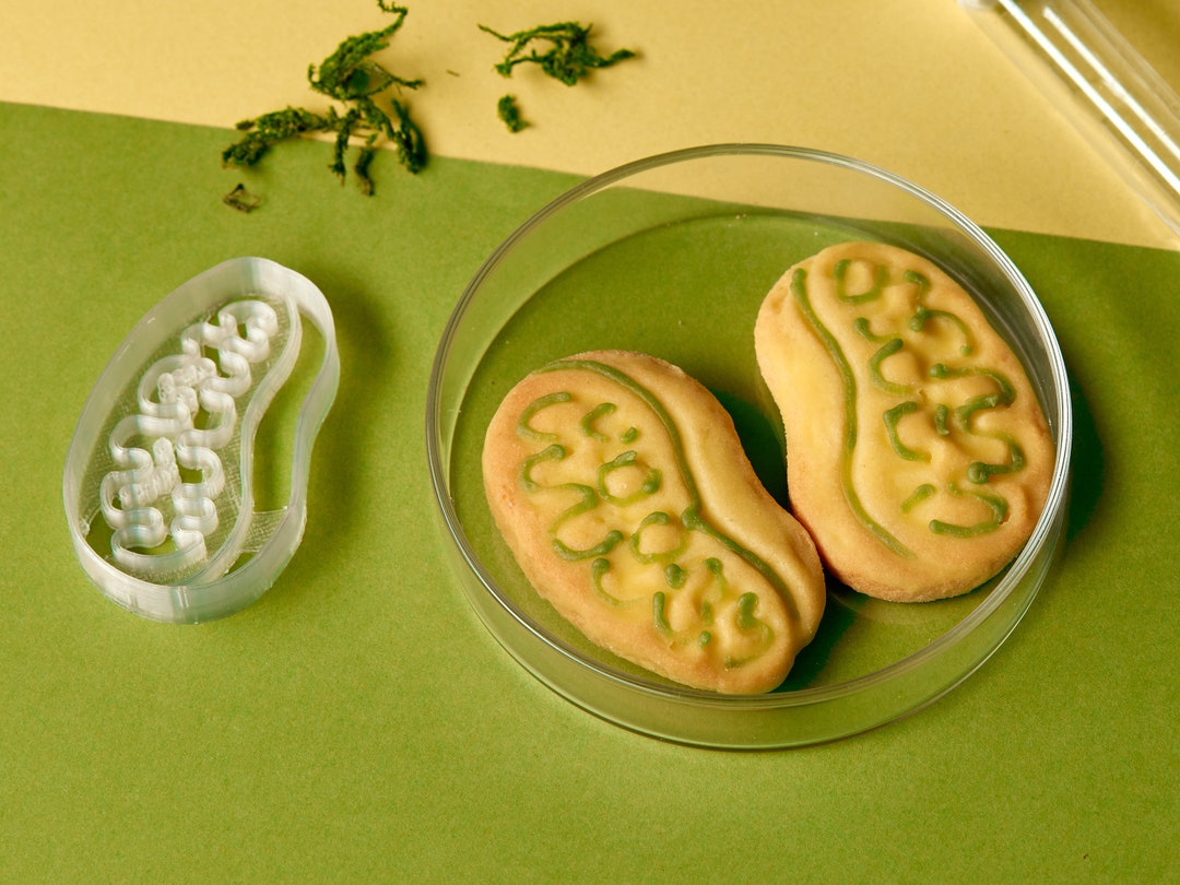 Mitochondria Cookie Cutter Biology Cookie Cutter Gifts for - Etsy