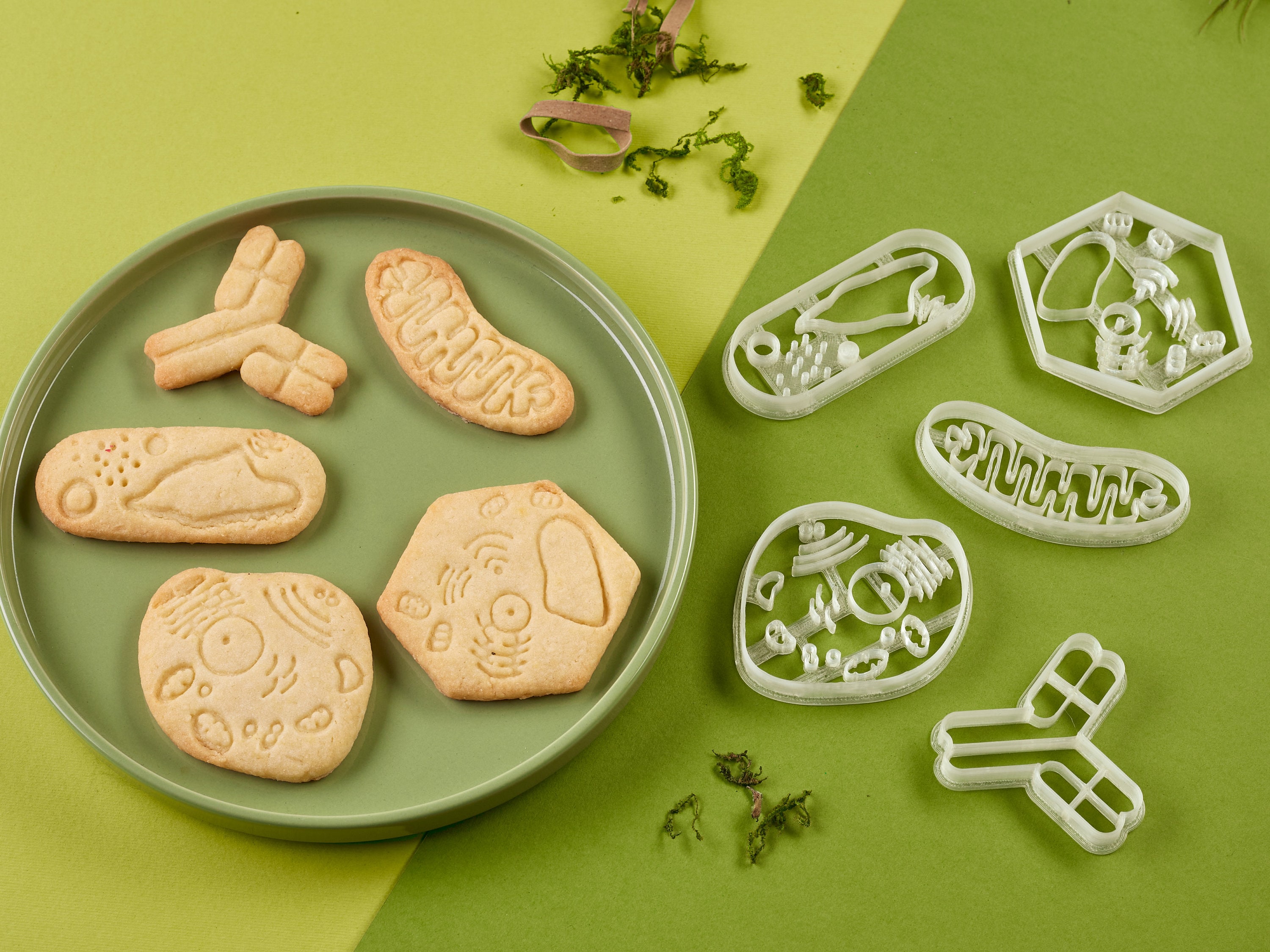 Mitochondria Cookie Cutter Biology Cookie Cutter Gift Medical Student ...