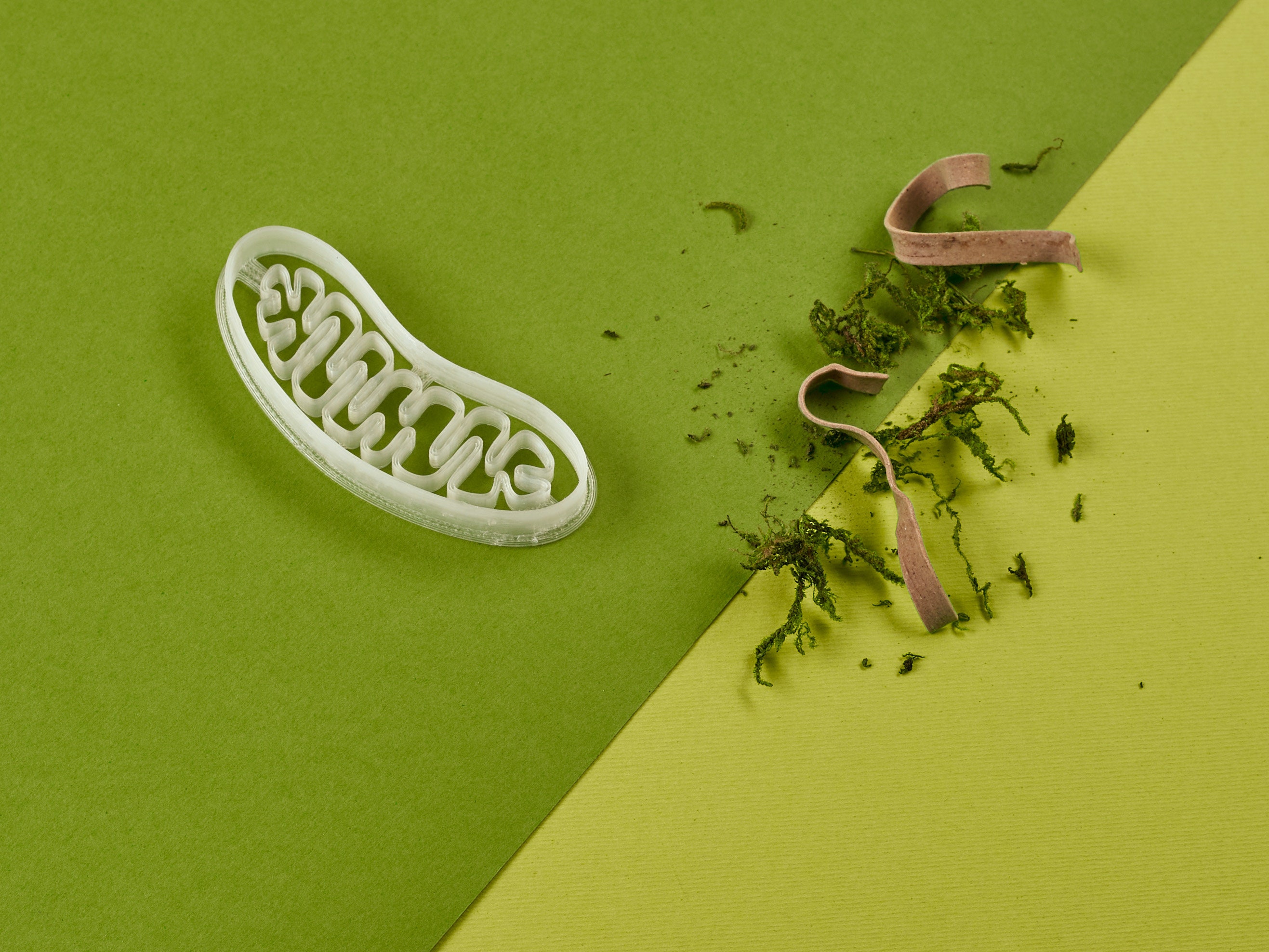 Mitochondria Cookie Cutter Biology Cookie Cutter Gift Medical Student ...