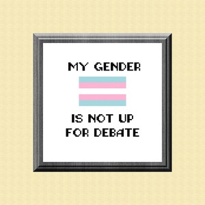 Gender Pride Flag Cross Stitch Pattern PDF (Download Now) - Etsy