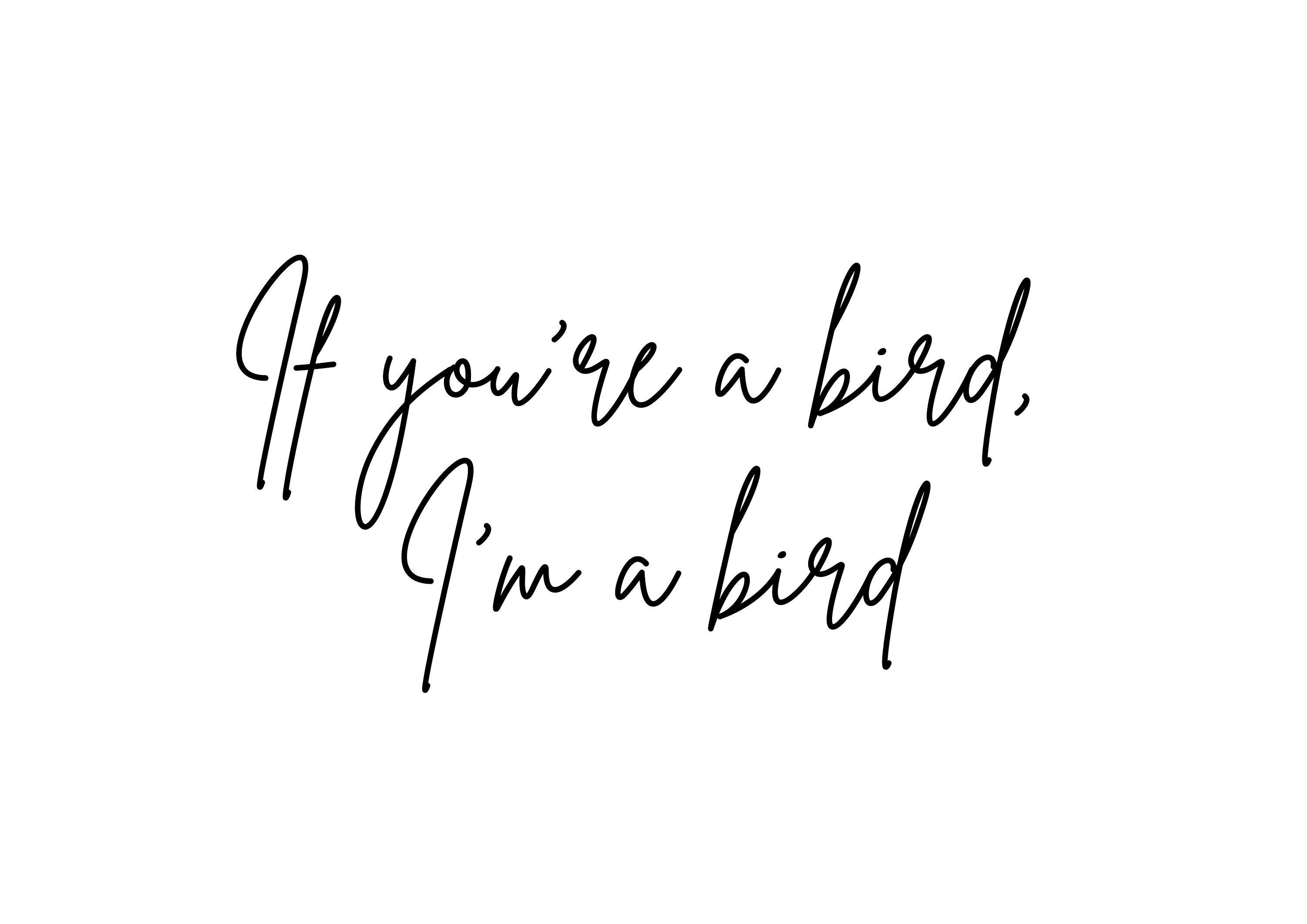 If Youre a Bird Im a Bird, the Notebook, Printable, Digital Download ...