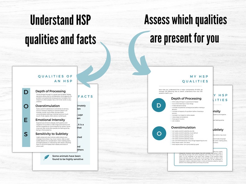 The Highly Sensitive Person Workbook - Etsy