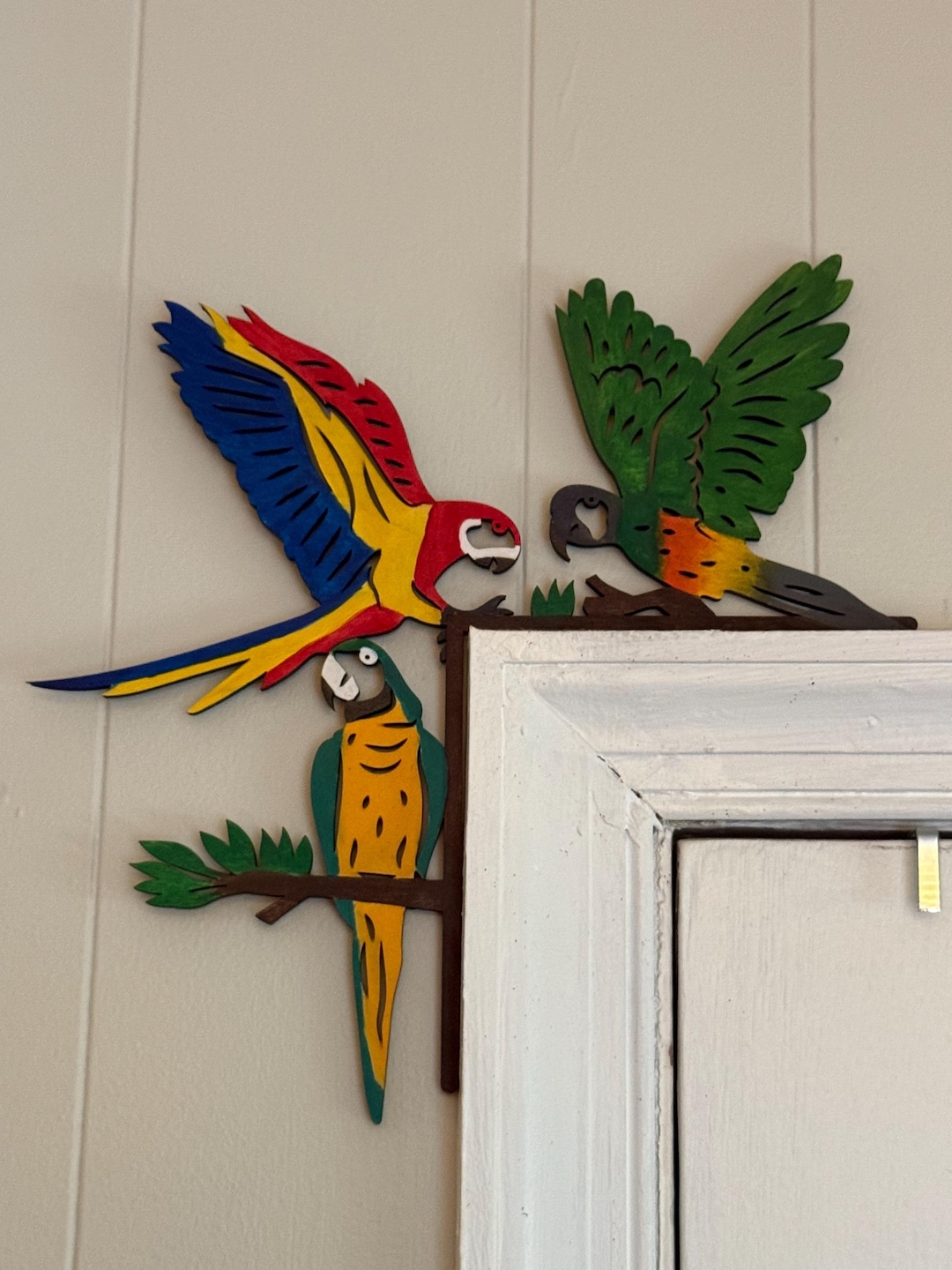 Door Corners - Parrot - Etsy