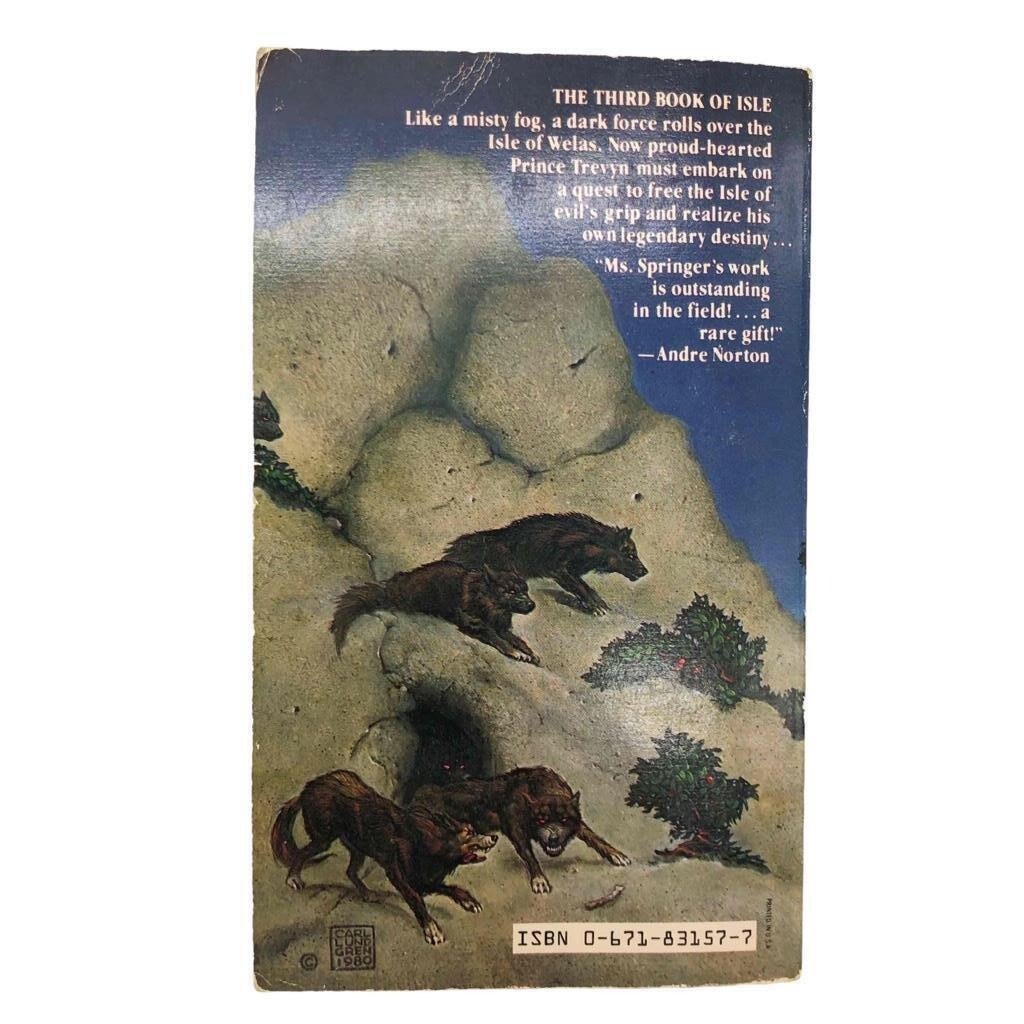 Vintage THE SABLE MOON Nancy Springer Sci-fi Fantasy Book 1st Pocket ...