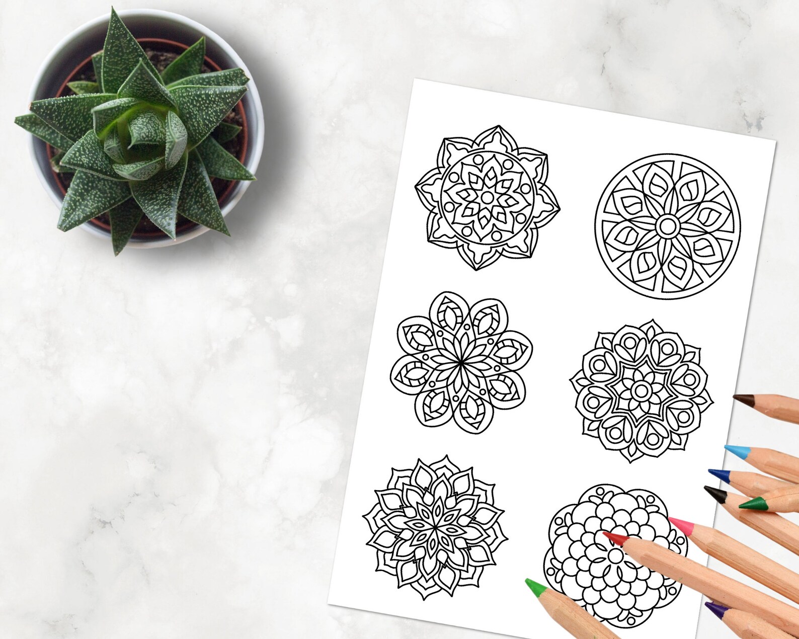 12 Mini Mandalas Printable Coloring Pages Adult Coloring Book Simple ...