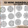 12 Mini Mandalas Printable Coloring Pages Adult Coloring Book Simple ...