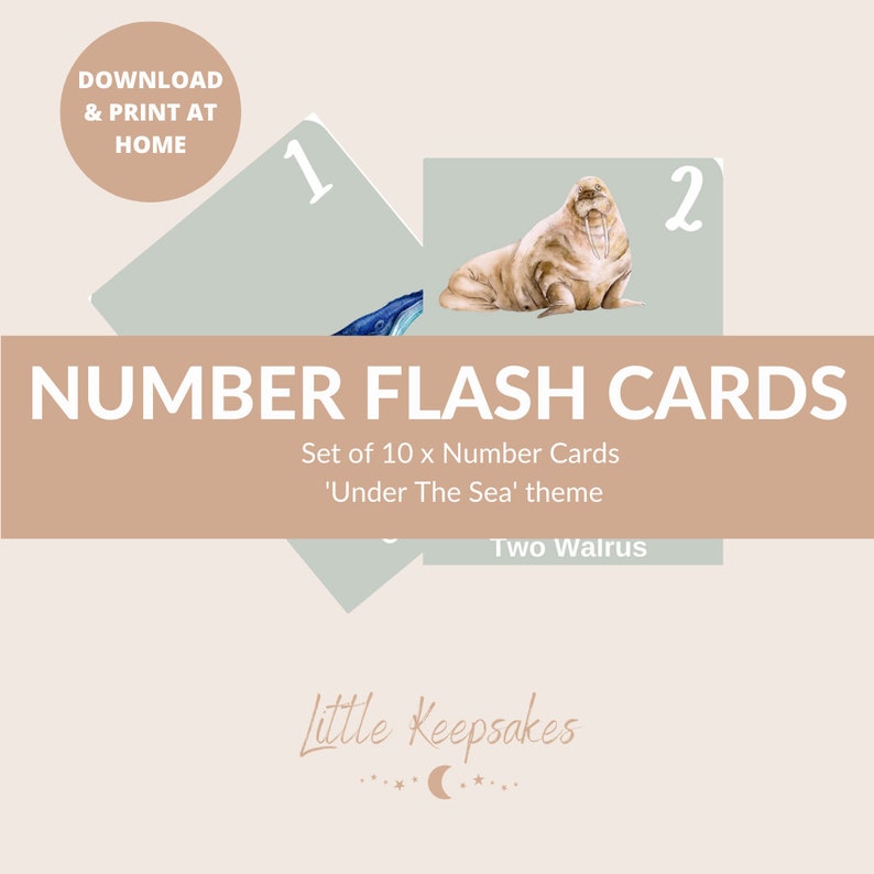Printable Number Flash Cards 'under the Sea' - Etsy