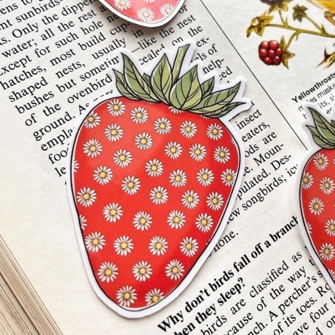 Strawberry Daisy, Vinyl Sticker - Etsy