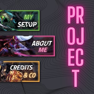 10 PROJECT Panels - League of Legends - Etsy