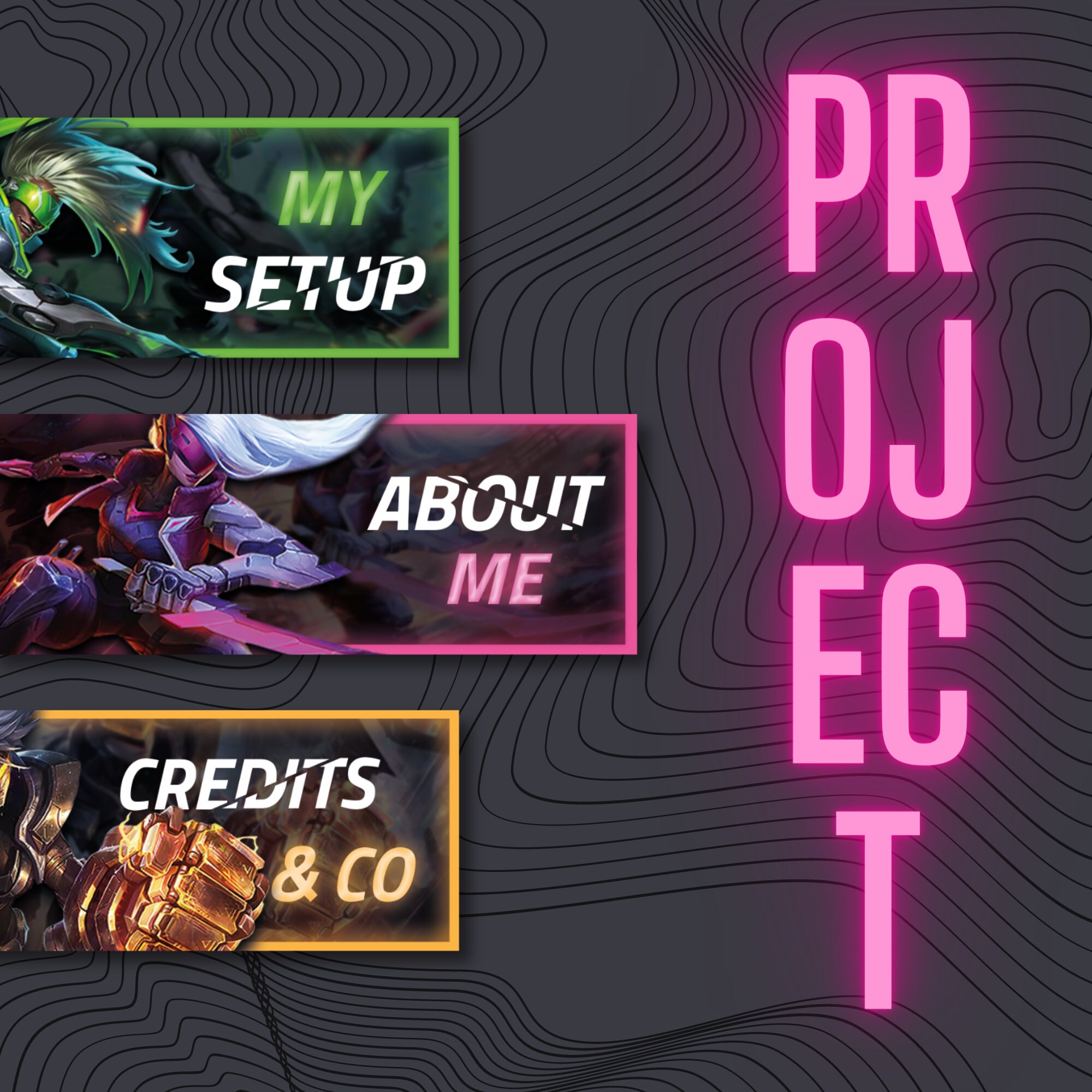 10 PROJECT Panels - League of Legends - Etsy