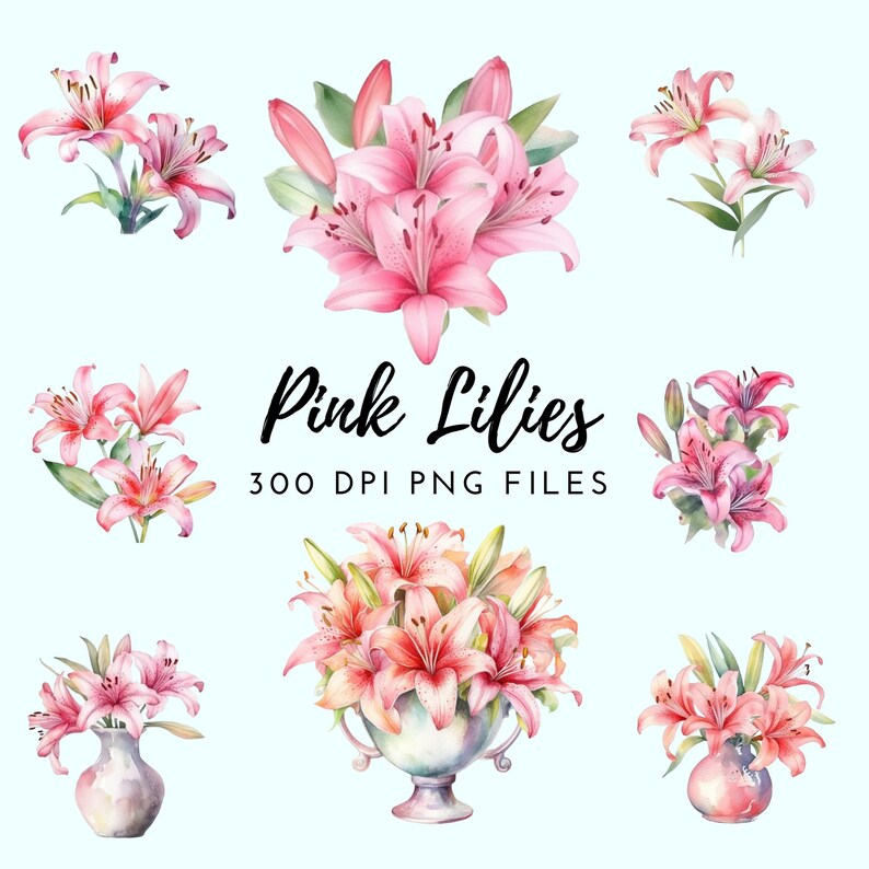 Watercolor Pink Lily Clipart | Spring Floral Lilies Pngs - Etsy