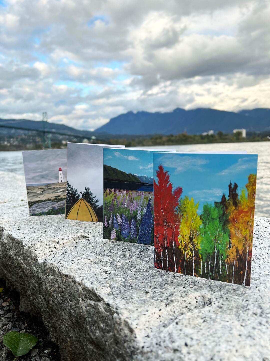 Greeting Card Variety Pack, Greeting Card Assortment, Mystery Card Pack ...