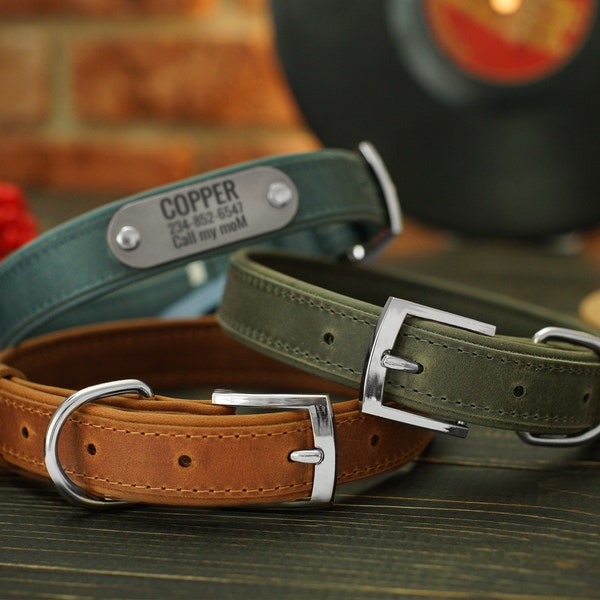 Male Dog Collar - Etsy