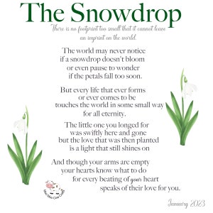 The Snowdrop Miscarriage Gift Card Baby Born Sleeping Sympathy ...