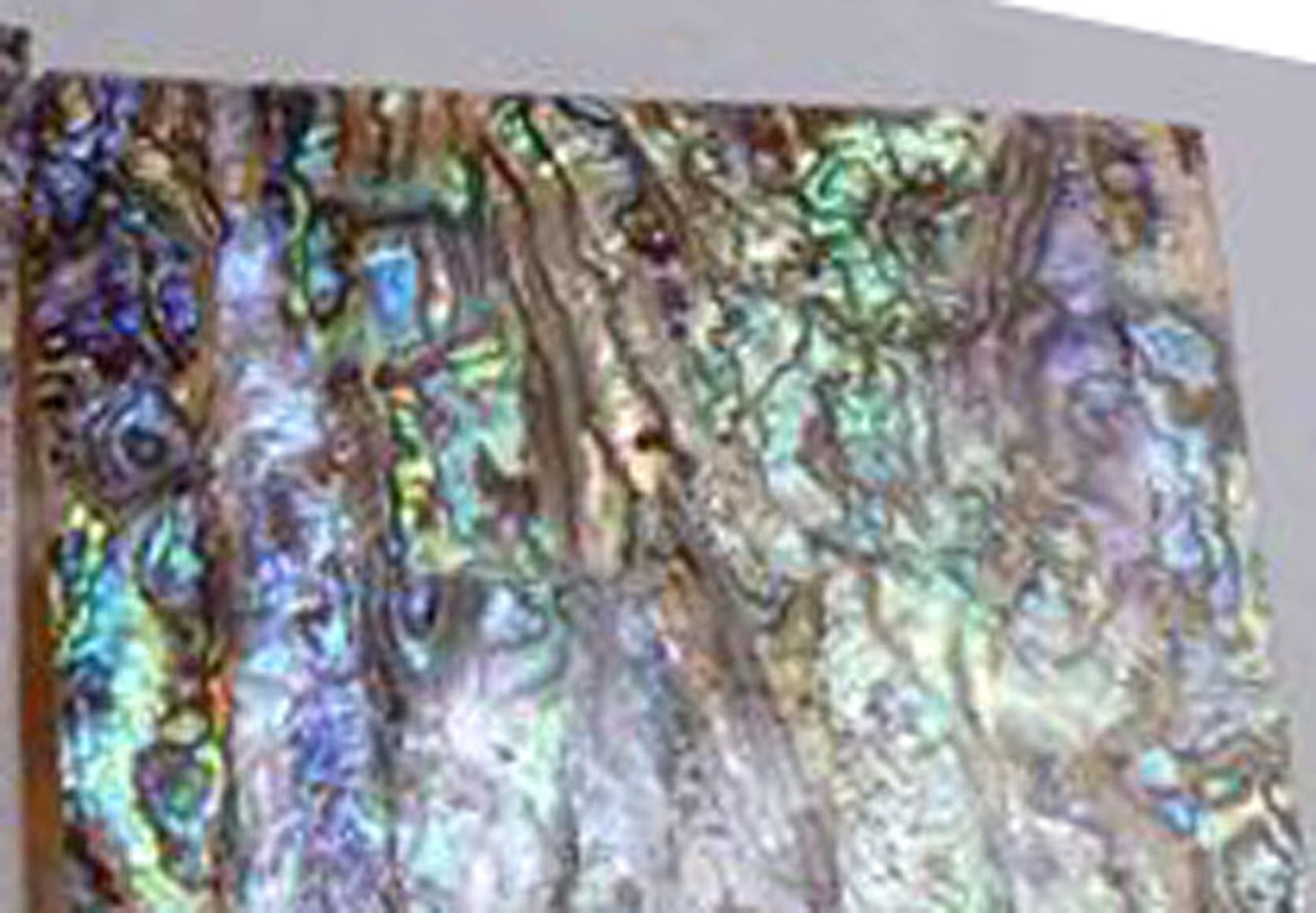 Genuine PAUA INLAY Real Shell Thin Sheet Veneer Overlay DIY Luthier - Etsy