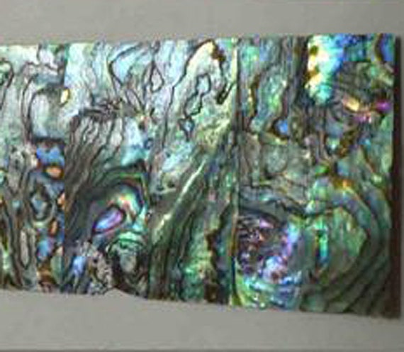 Genuine DARK PAUA Inlay Real Shell Thin Sheet Veneer Overlay | Etsy