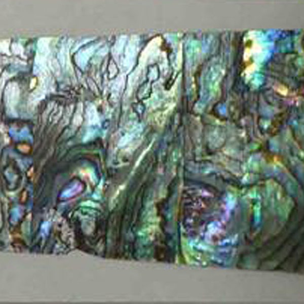 Abalone Inlay - Etsy