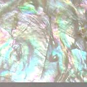 Genuine RAINBOW Mother of Pearl Shell INLAY Real Shell Thin Sheet ...