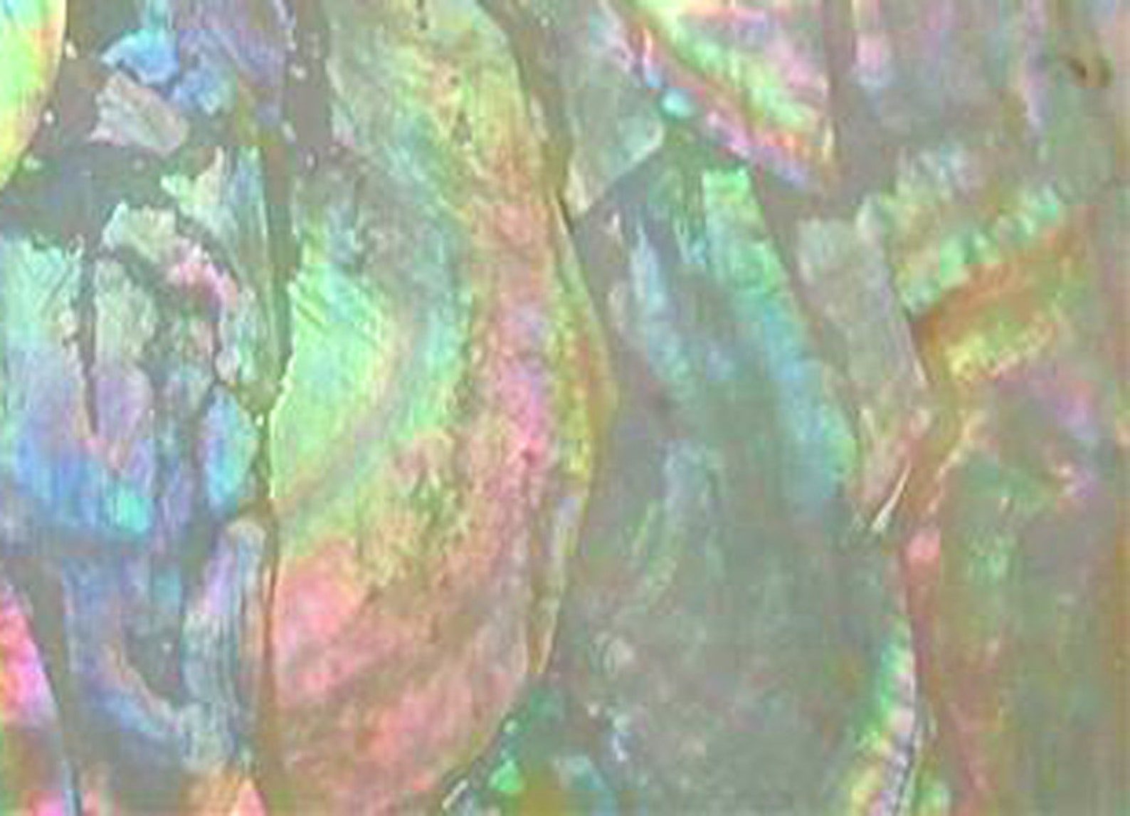 Genuine RAINBOW Mother of Pearl Shell INLAY Real Shell Thin Sheet ...