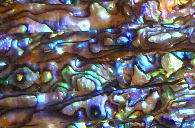 A+ Natural Genuine PAUA Inlay Real Shell Thin Sheet Veneer Overlay DIY ...