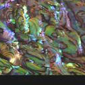 Genuine DARK PAUA Inlay Real Shell Thin Sheet Veneer Overlay DIY ...