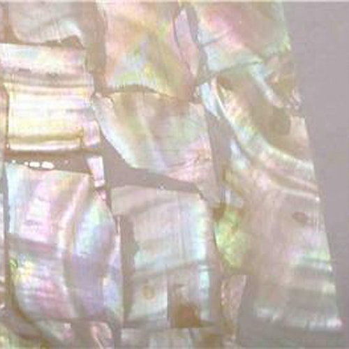 Genuine RAINBOW Mother of Pearl Shell INLAY Real Shell Thin - Etsy