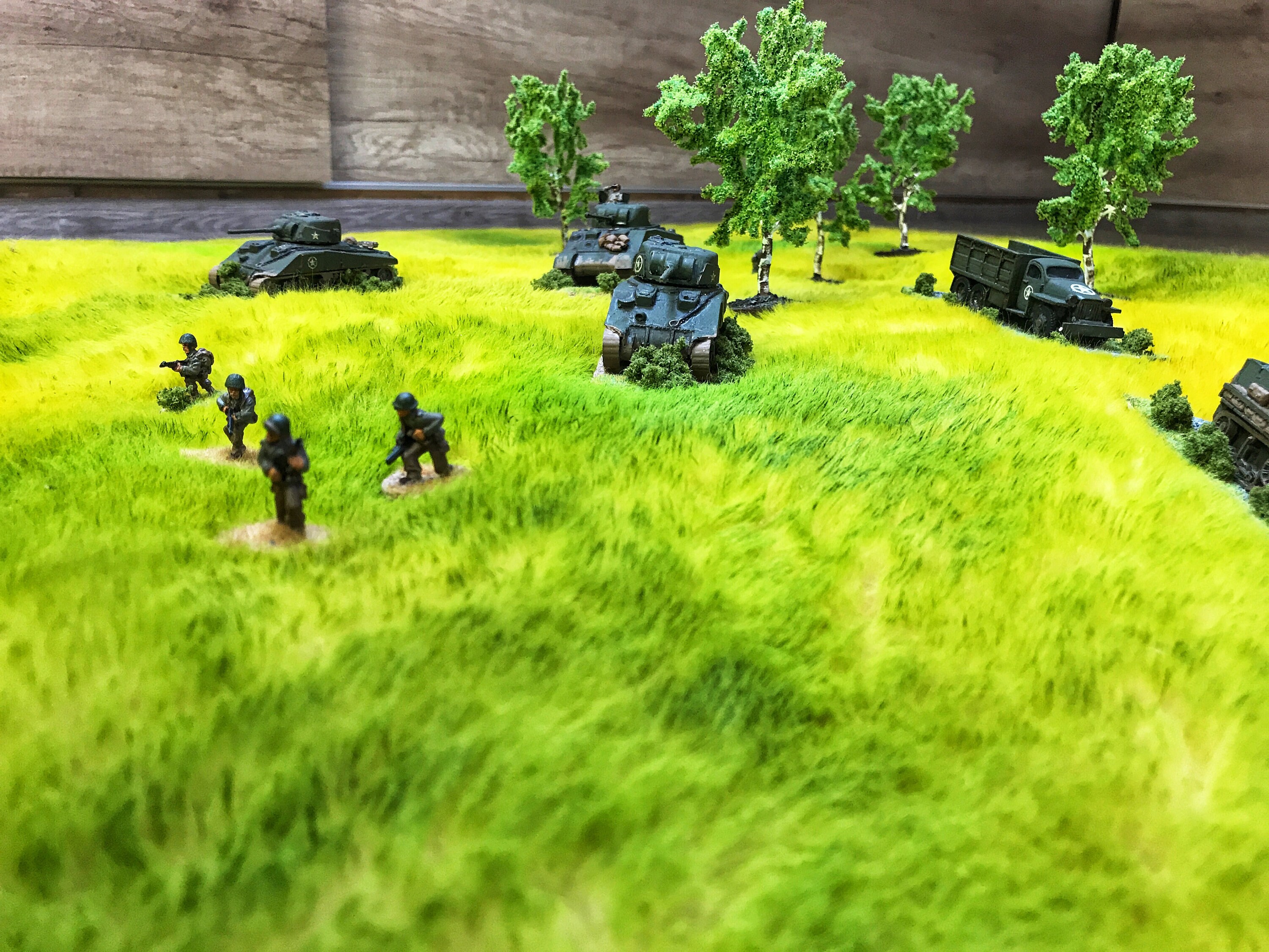 Terrain Mat Gaming Mat Battle Mat summer Field Color Scheme - Etsy