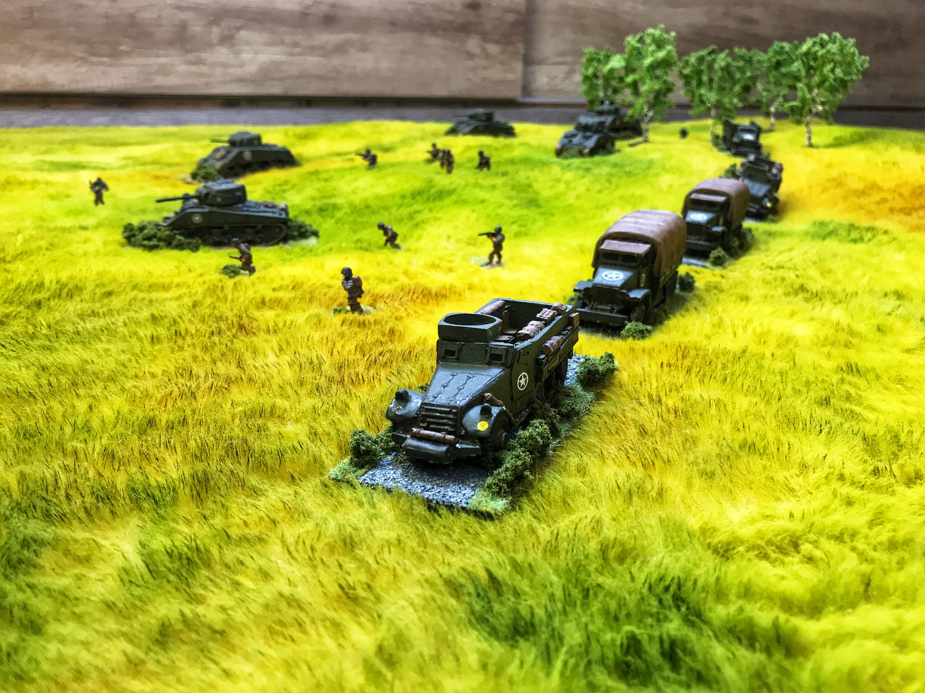 Terrain Mat - Gaming Mat - Battle Mat - "summer Field" Color Scheme - Etsy