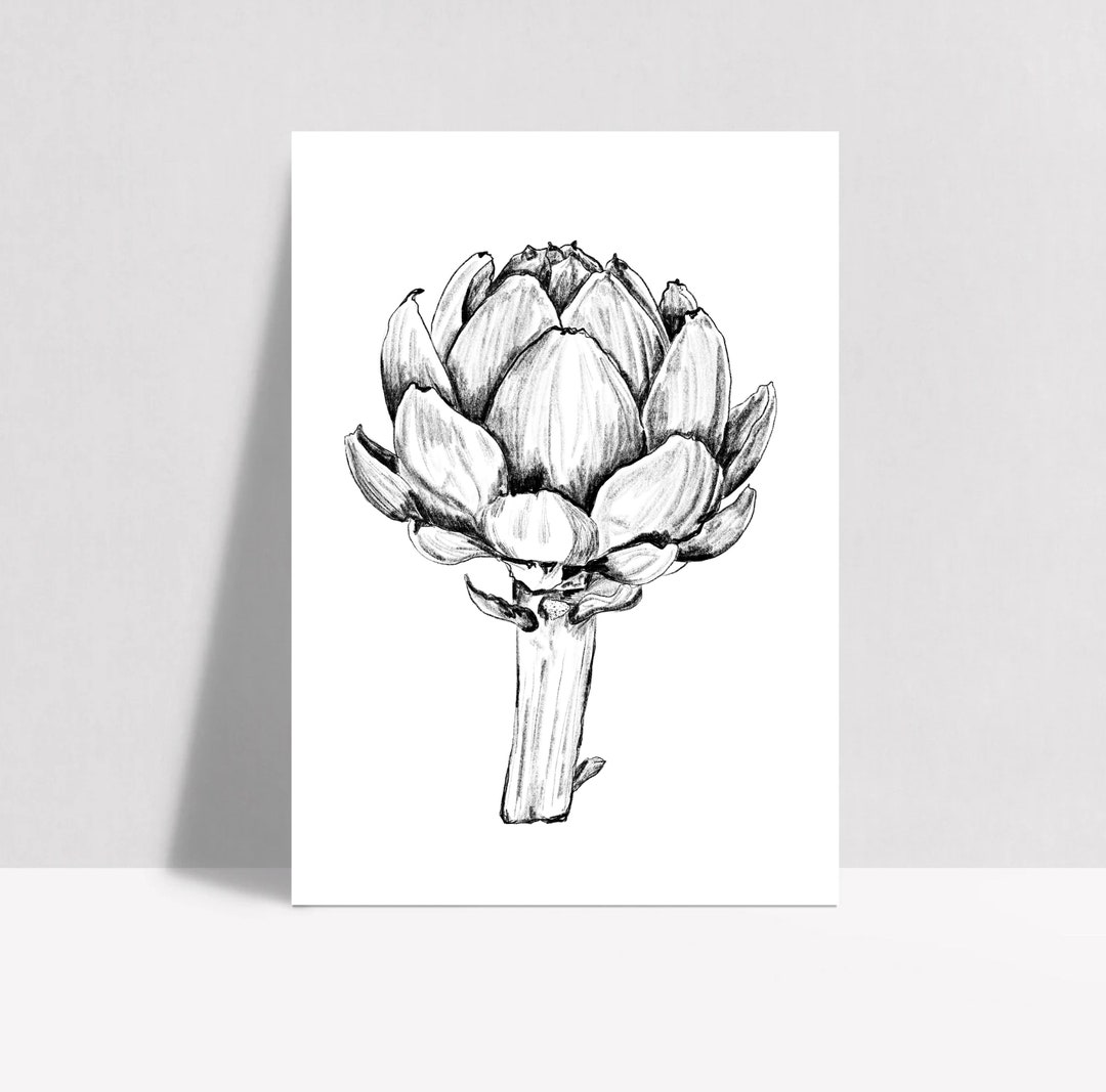 Printable Artichoke Drawing | Organic | Botanical Art | Kitchen Print ...