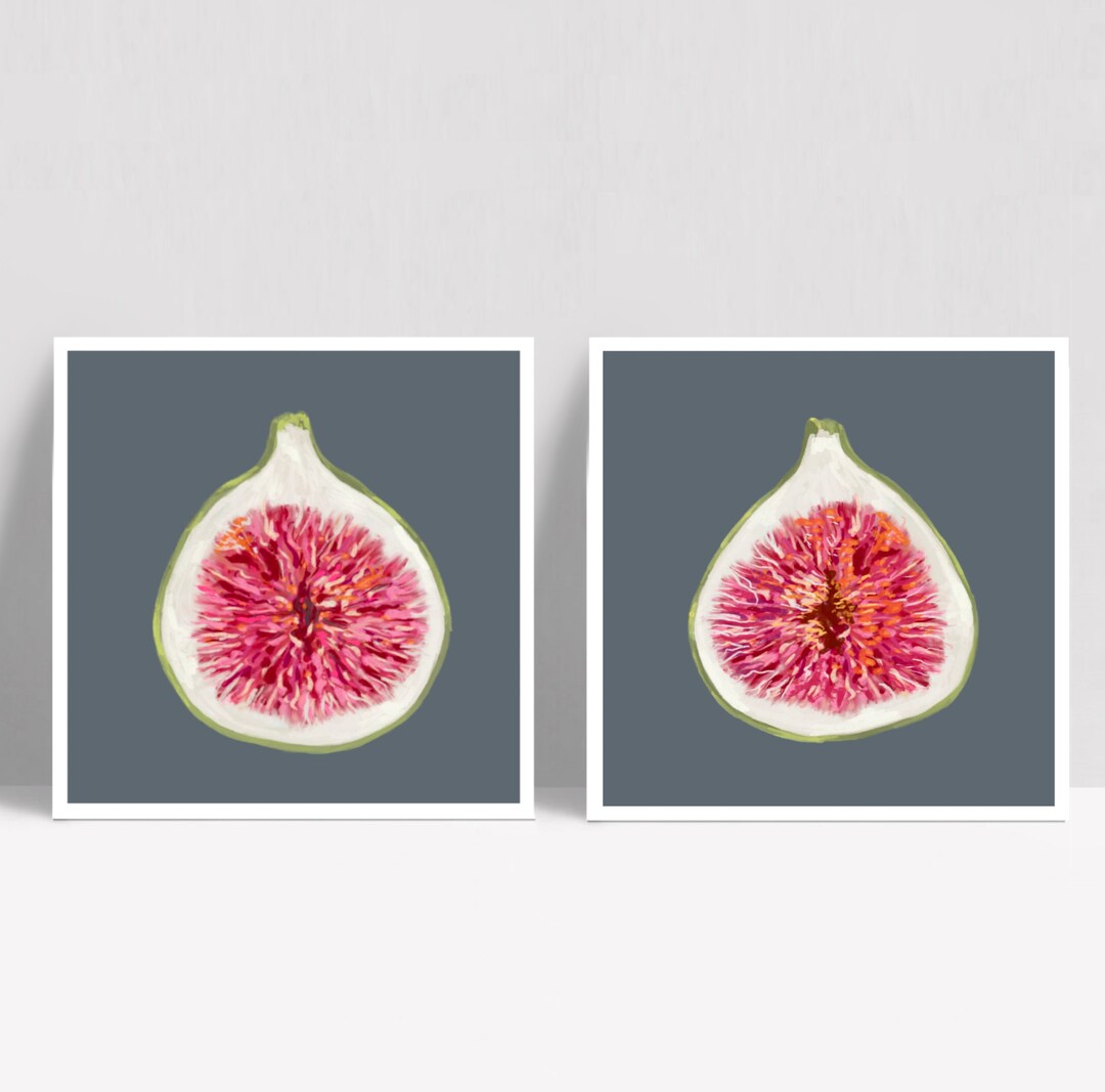 Printable Figs Illustration | Organic | Fig Cross Section | Botanical ...