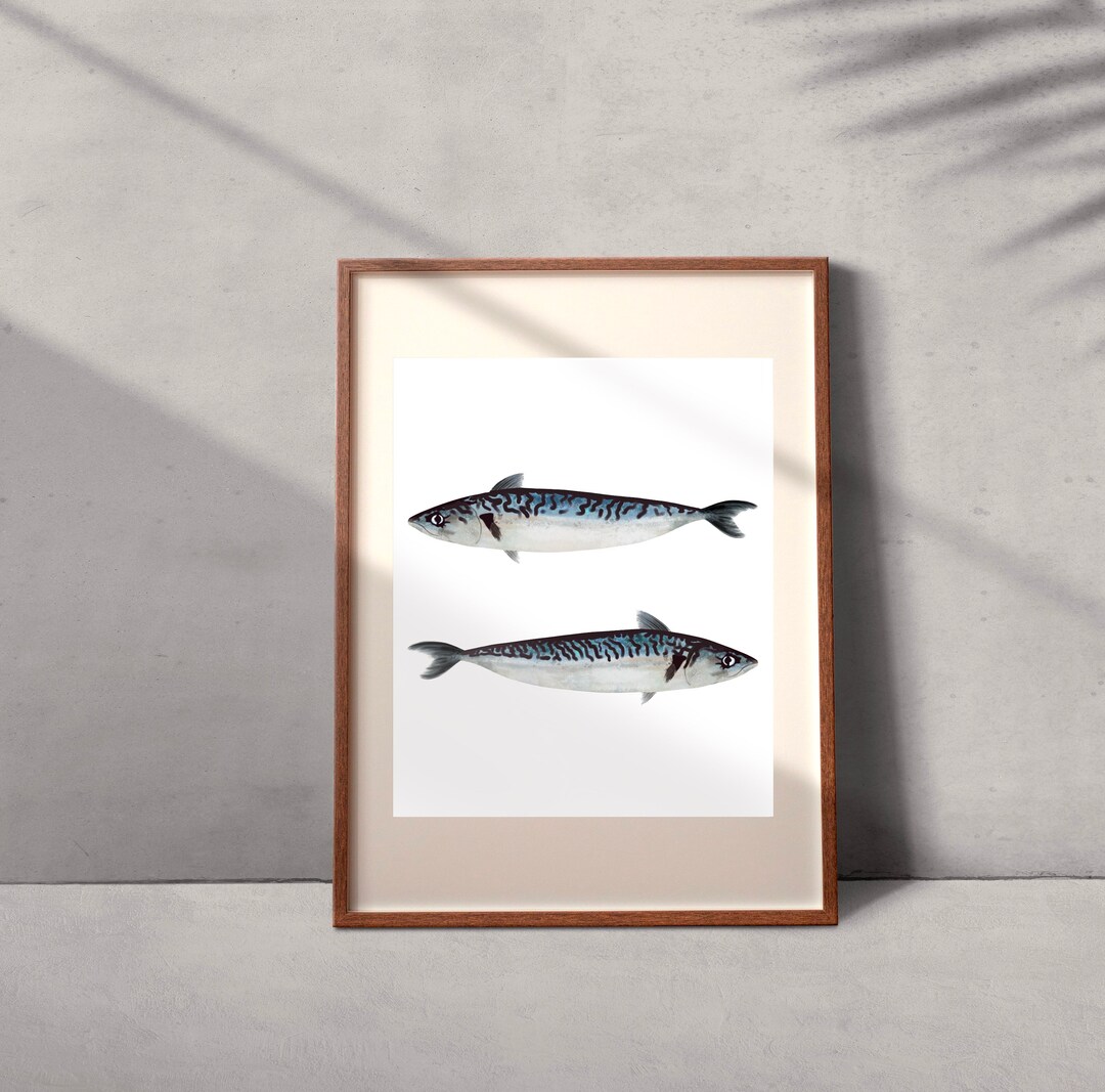 Printable Mackerel Pair Illustration | Fish Print | Nautical Decor ...