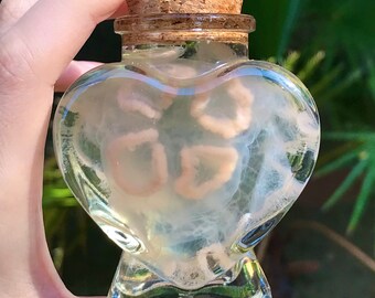 Specimen in Jar | Etsy