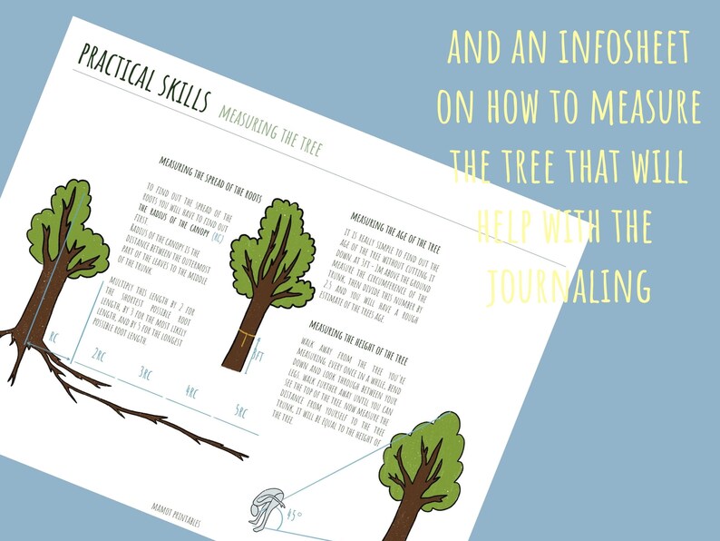 Printable Nature Scavenger Hunt Outdoor Play Homeschool Nature ...