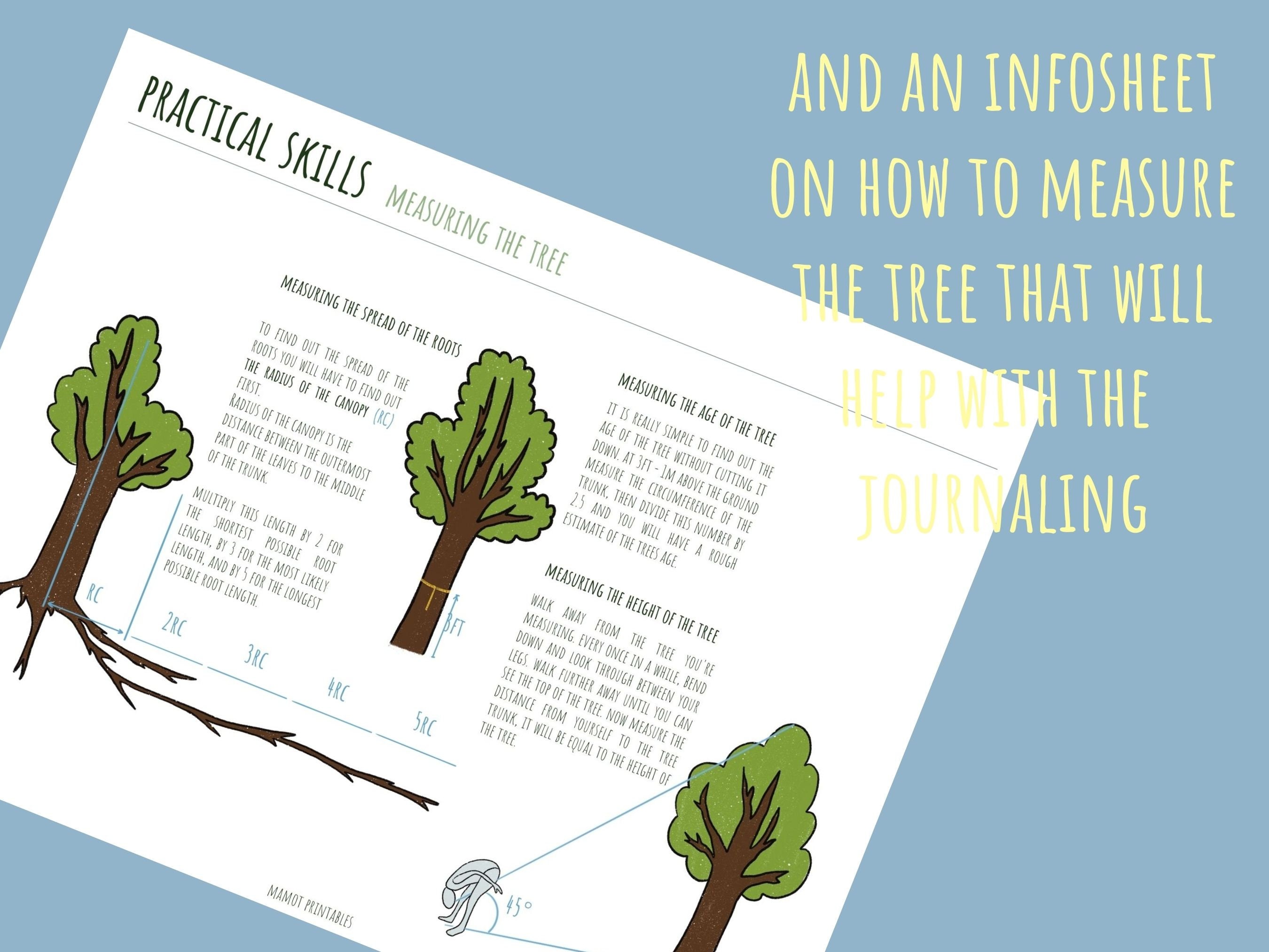 Printable Nature Scavenger Hunt: Outdoor Activity (PDF) - Etsy