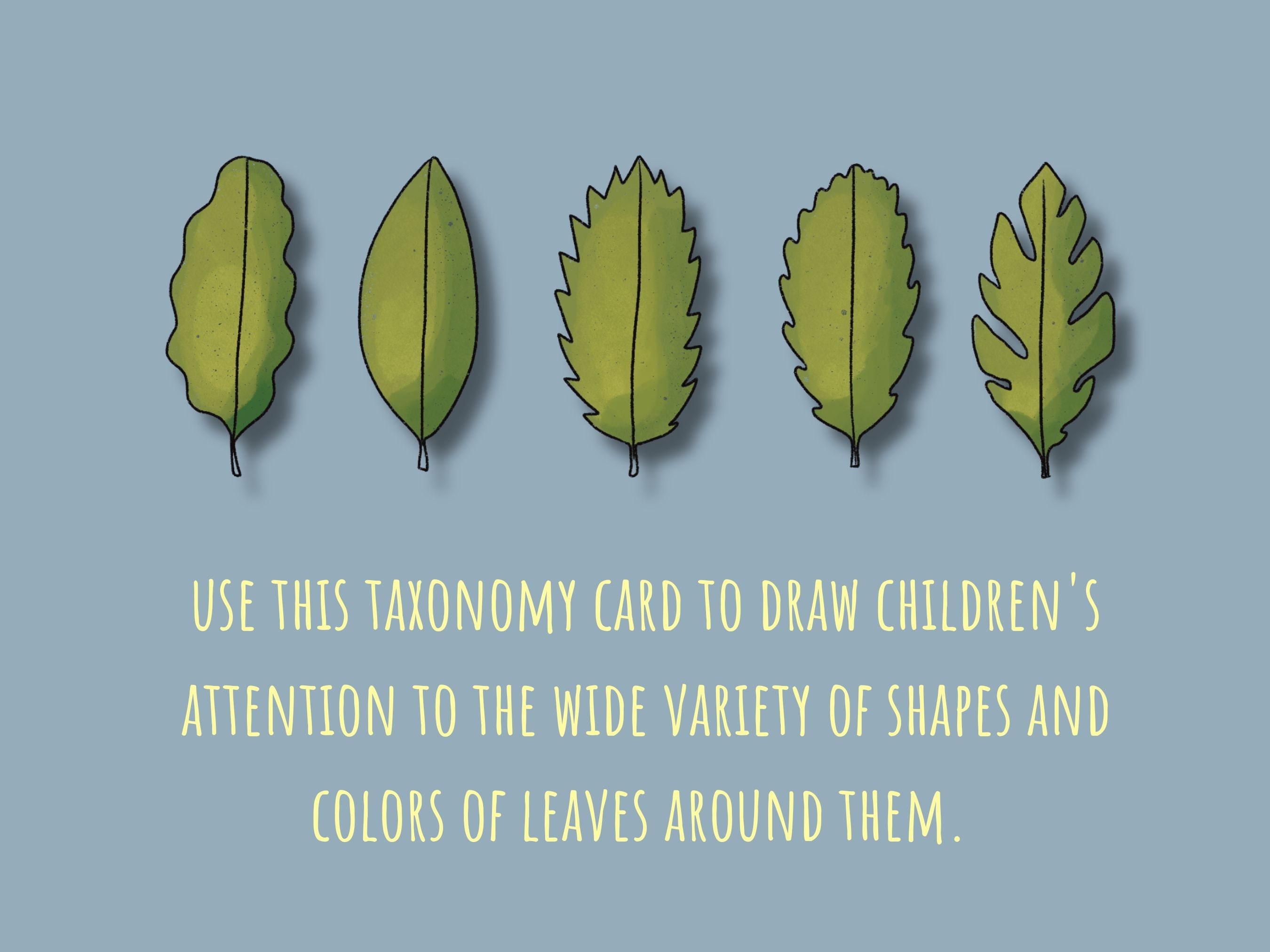 Printable Nature Journal Page Homeschool Nature Educational Activity ...