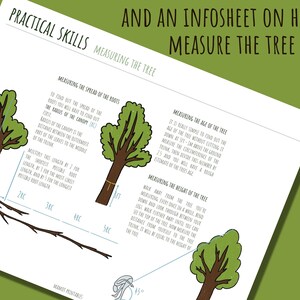 Printable Homeschool Nature Unit Study, Tree Study and Worksheets for ...