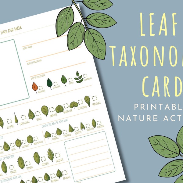 Charlotte Mason Curriculum - Etsy