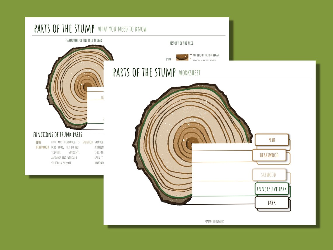Printable Homeschool Nature Unit Study, Tree Study and Worksheets for ...