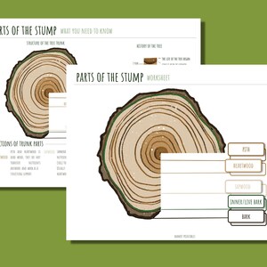 Printable Homeschool Nature Unit Study, Tree Study and Worksheets for ...