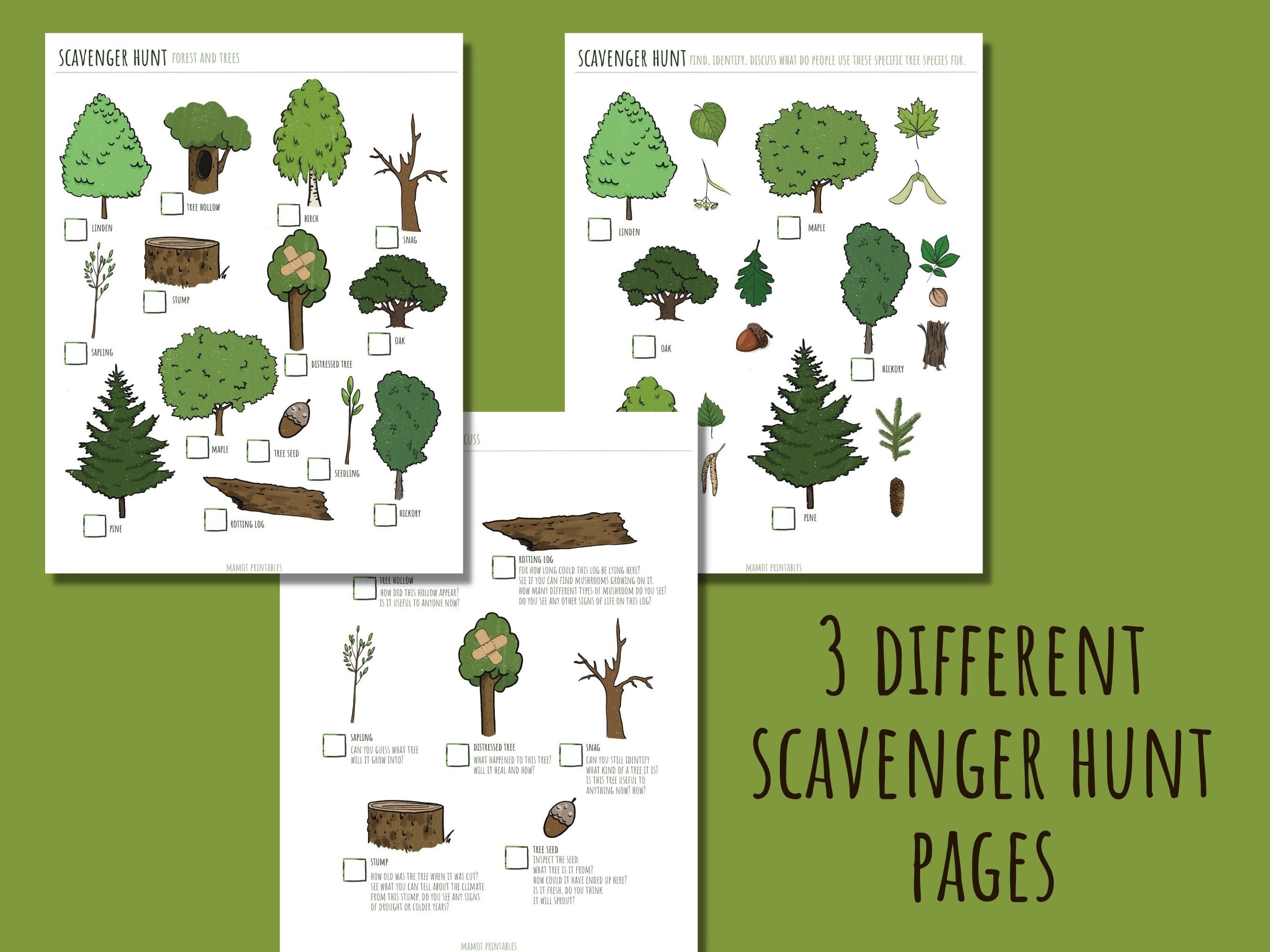 Printable Scavenger Hunt for Nature Walks Charlotte Mason Inspired ...
