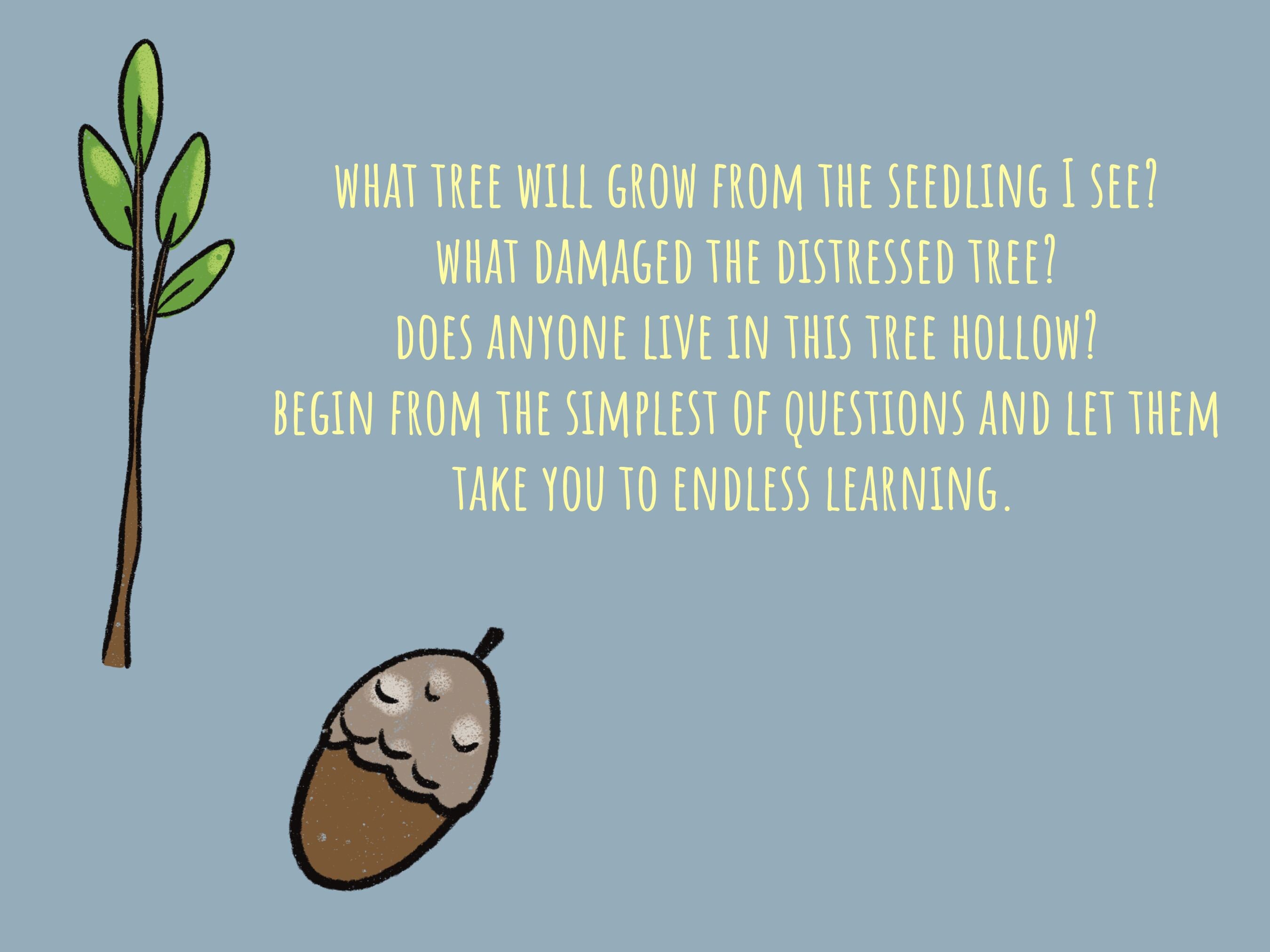 Printable Tree Scavenger Hunt Nature Activities for Toddler Learning ...