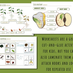 Printable Seed Unit Study, Homeschool Nature Bundle, Montessori Nature ...