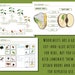 Printable Seed Unit Study, Homeschool Nature Bundle, Montessori Nature ...