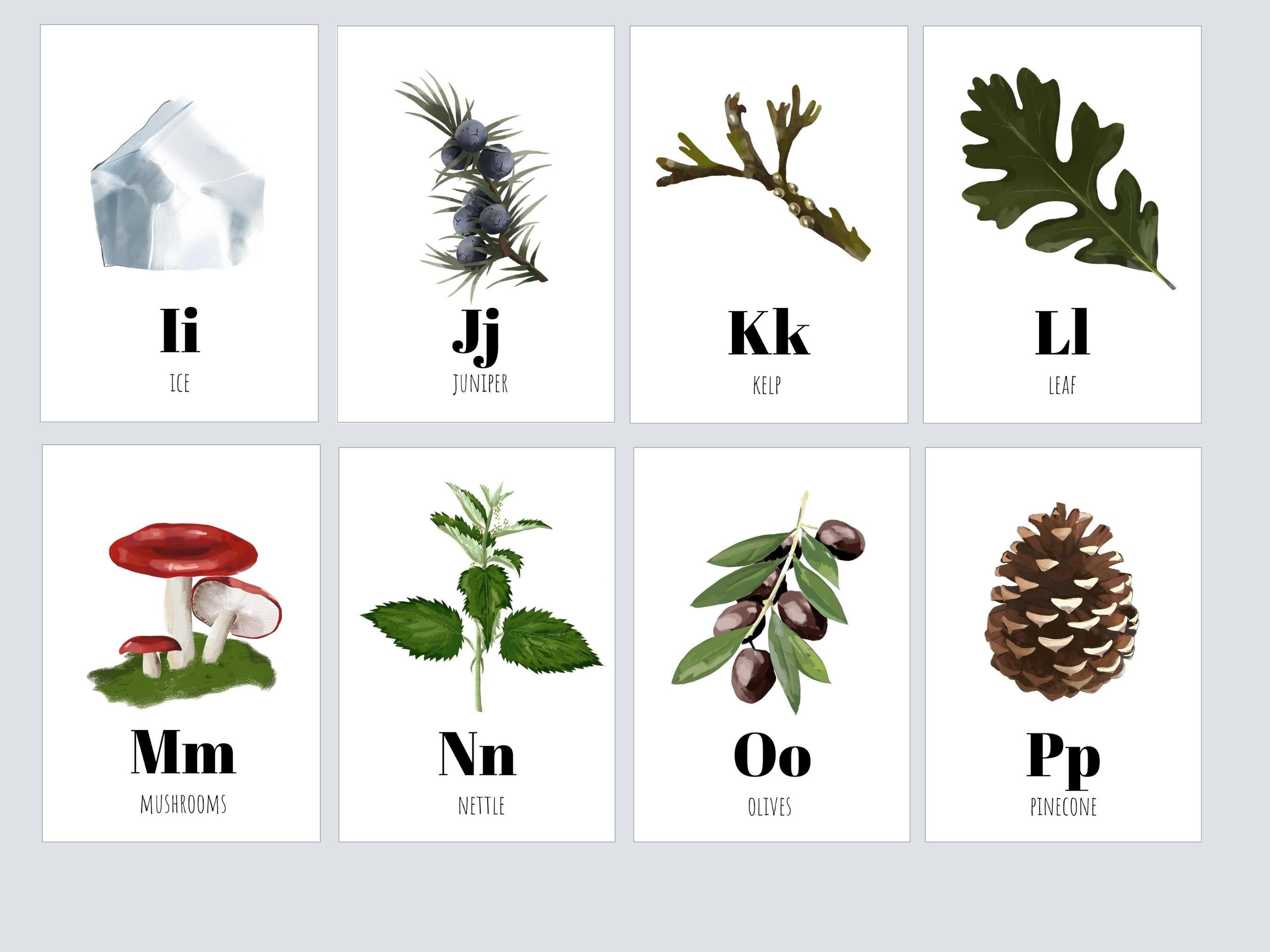 Printable Alphabet Flashcards for Toddler Learning to Read, Digital ...