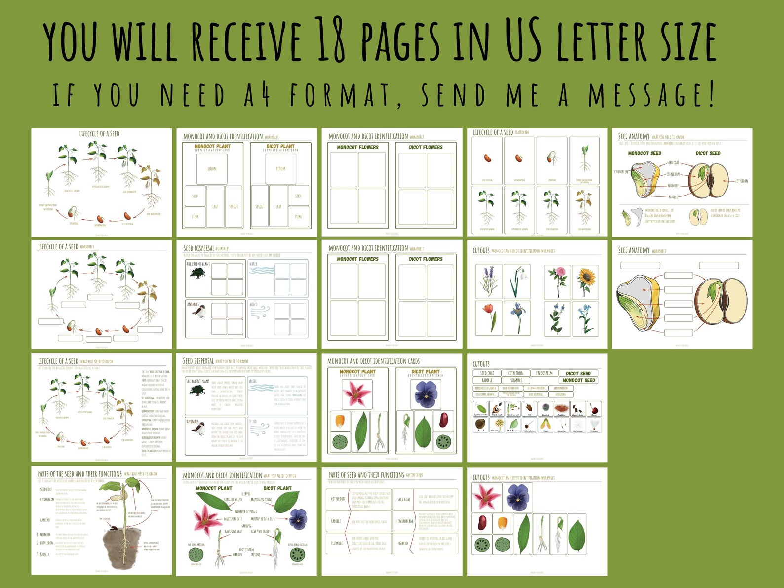 Printable Seed Unit Study, Homeschool Nature Bundle, Montessori Nature ...