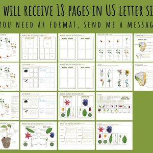 Printable Seed Unit Study, Homeschool Nature Bundle, Montessori Nature ...
