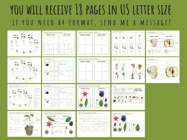 Printable Seed Unit Study, Homeschool Nature Bundle, Montessori Nature ...